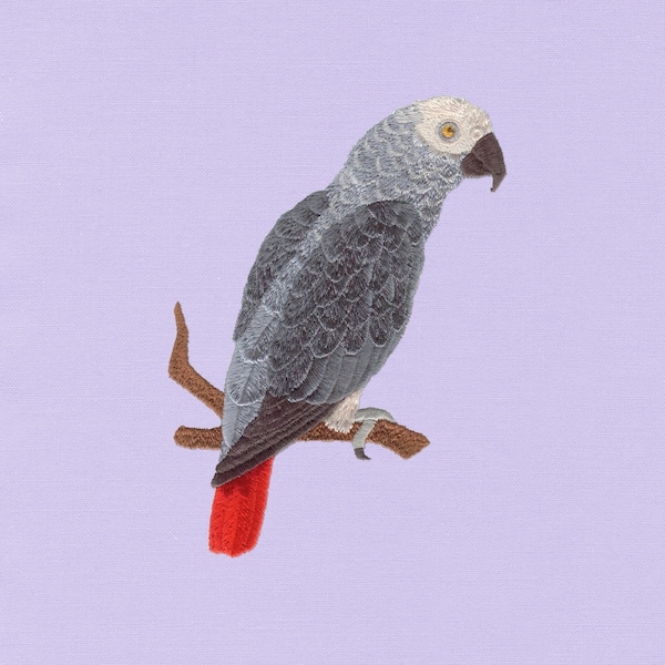 Parrot Embroidery - Etsy