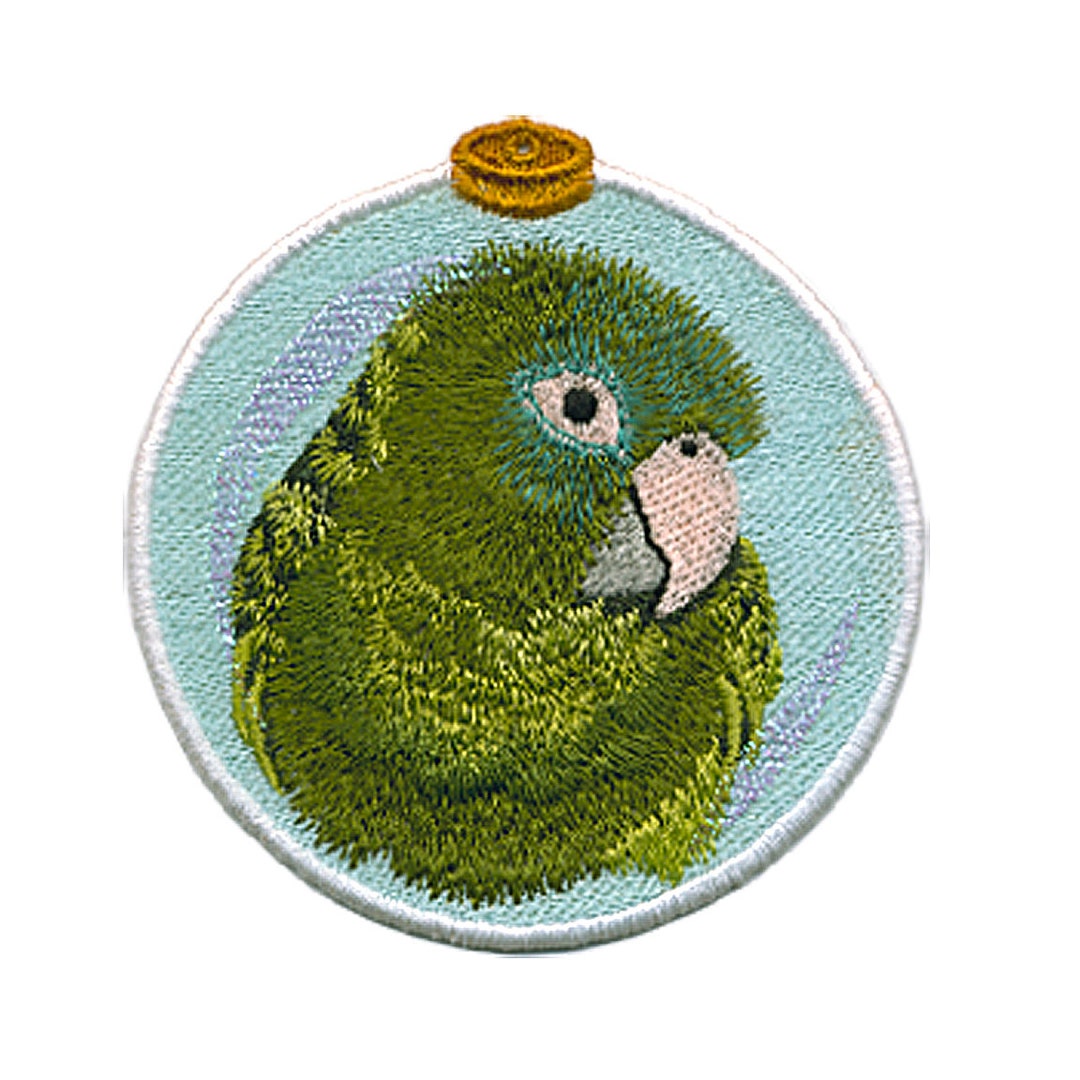 Blue-crowned Conure, Machine Embroidery Design, Ornament, Design, Bird ...