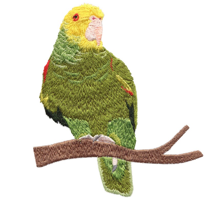 Parrot Embroidery - Etsy