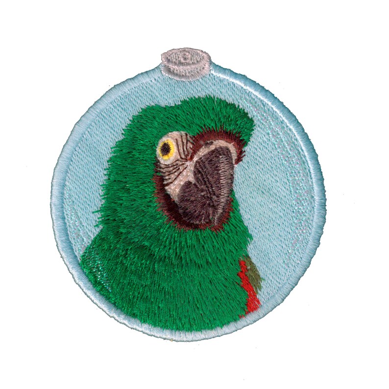 Severe Macaw, Machine Embroidery Design, Ornament, Design, Bird. - Etsy