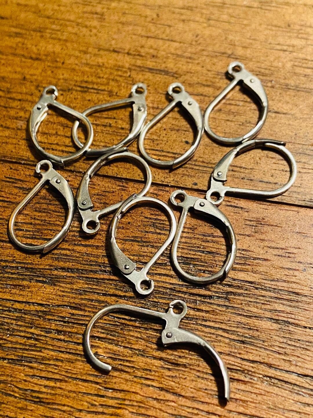 Stainless Steel Lever Back Ear Wires 10 Pcs - Etsy