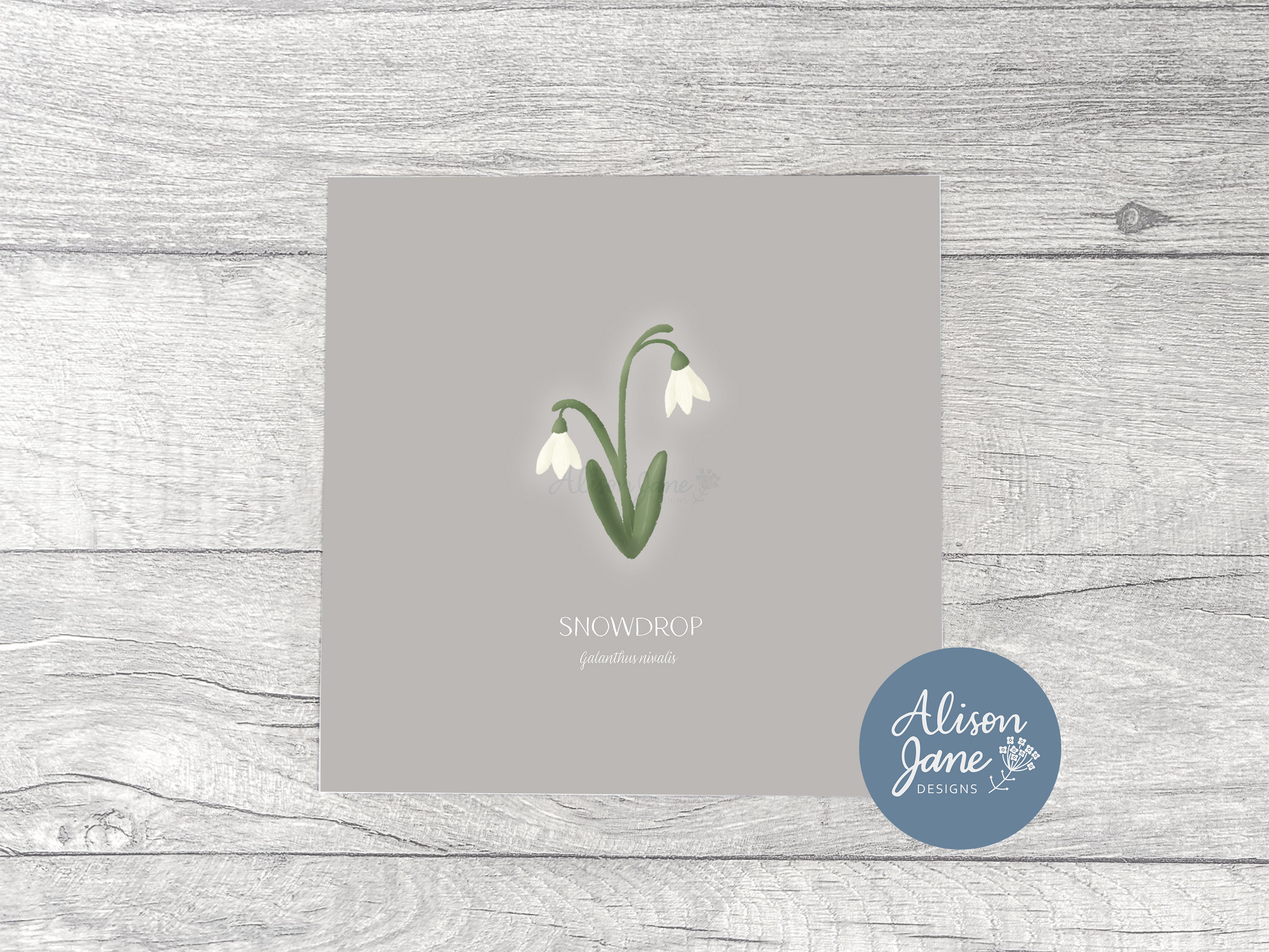 Snowdrop Print Wildflower snowdrop Illustration Spring Flowers Digital ...