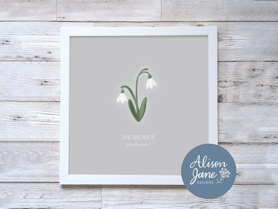 Snowdrop Print | Wildflower |snowdrop Illustration | Spring Flowers ...