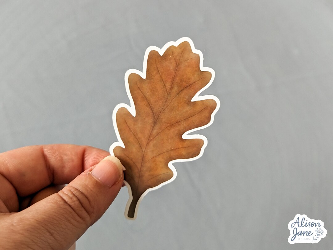 Oak Leaf Sticker | Autumn Leaves | Fall Leaf Illustration | Waterproof ...