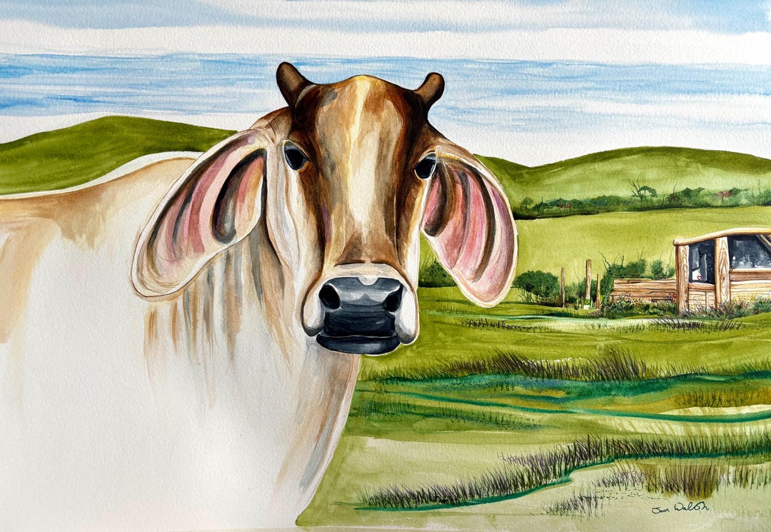 BEAUTIFUL BRAZILIAN COW - Etsy