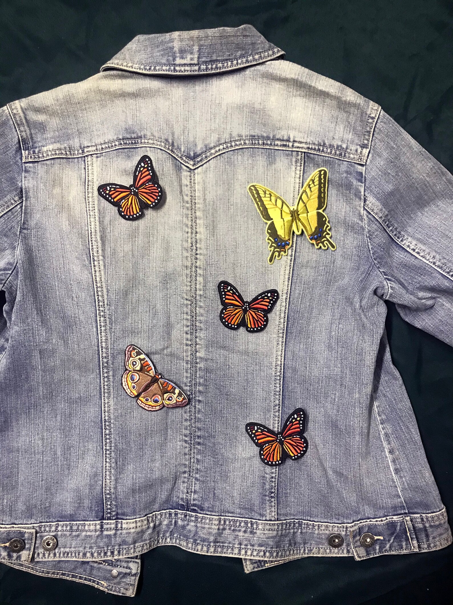 Monarch Butterfly - Etsy