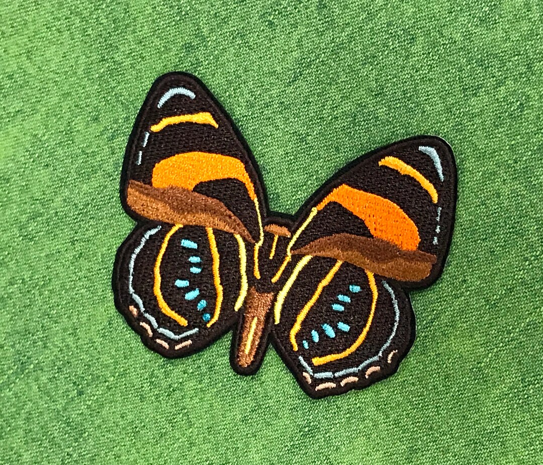 Aegina Numberwing Butterfly - Etsy