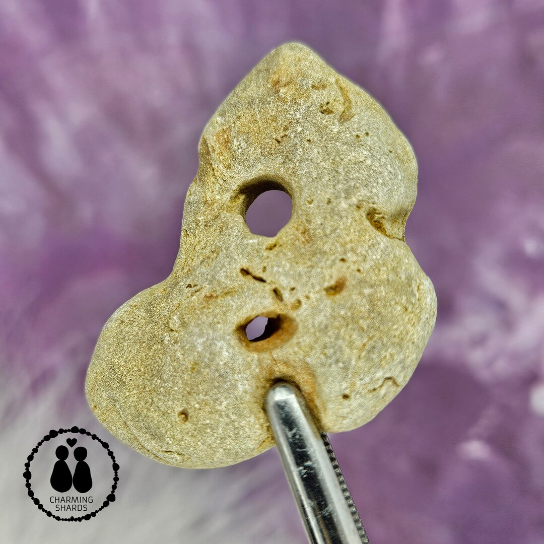 Genuine Large 2 Hole Genuine Hag Stone From Lake Michigan Great Lakes ...