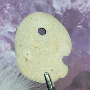 Large Genuine Hag Stone From Lake Michigan Great Lakes Natural Odin ...