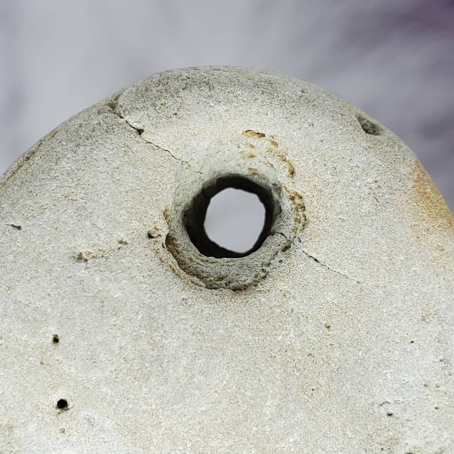 Large Natural Hag Stone from Lake Michigan Great Lakes Genuine | Etsy