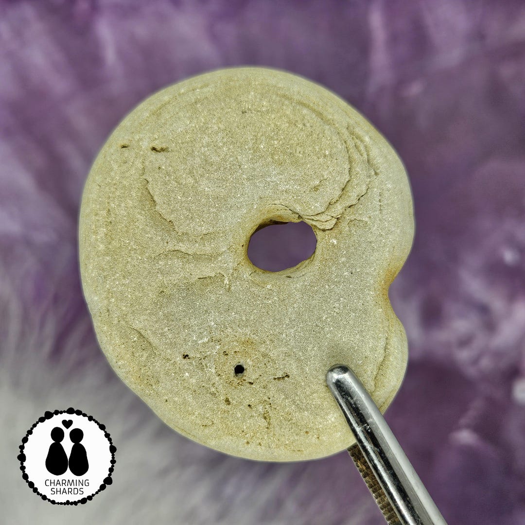 Genuine Large 1 Hole Genuine Hag Stone From Lake Michigan Great Lakes ...
