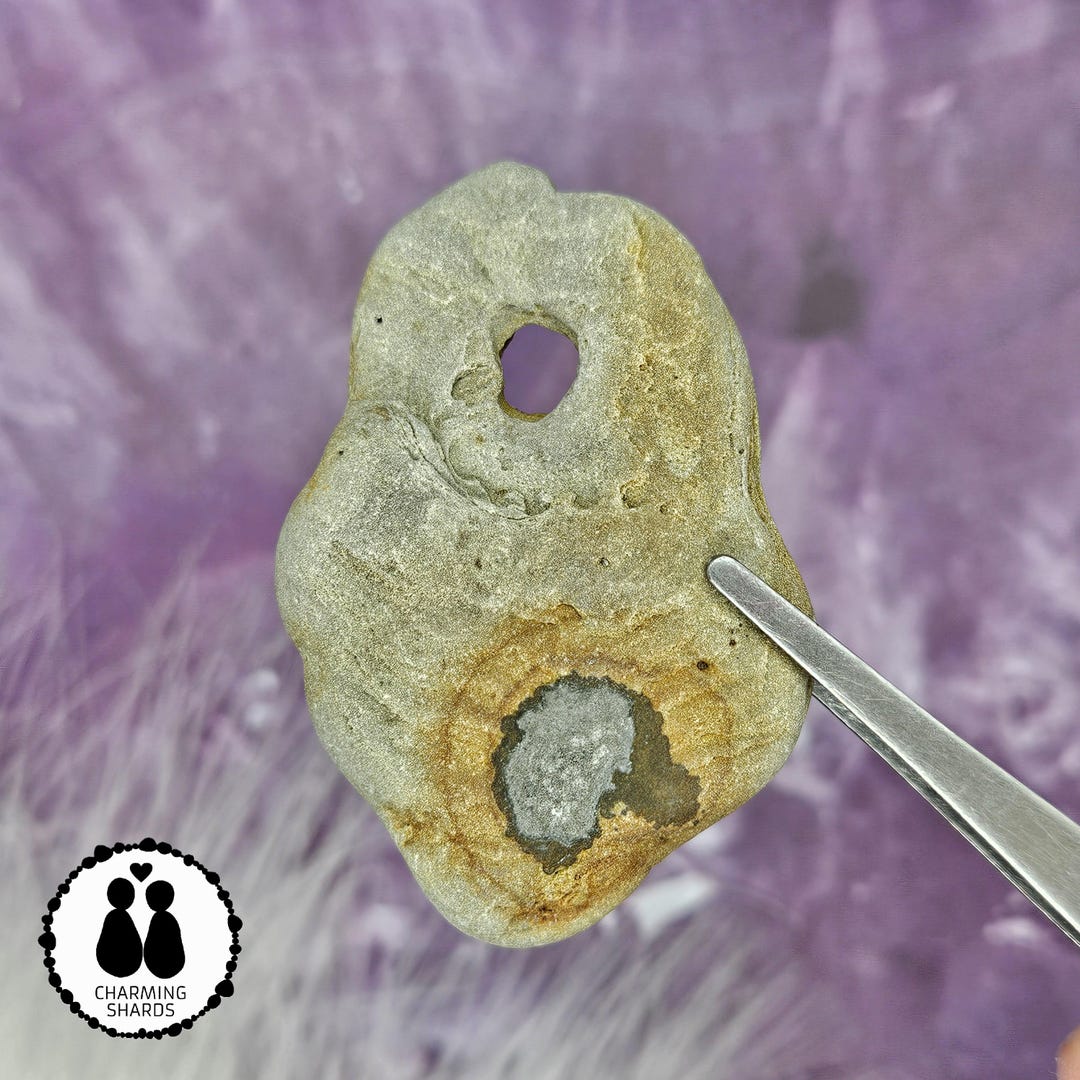 Natural Hag Stone From Lake Michigan Great Lakes Genuine Odin Holey ...