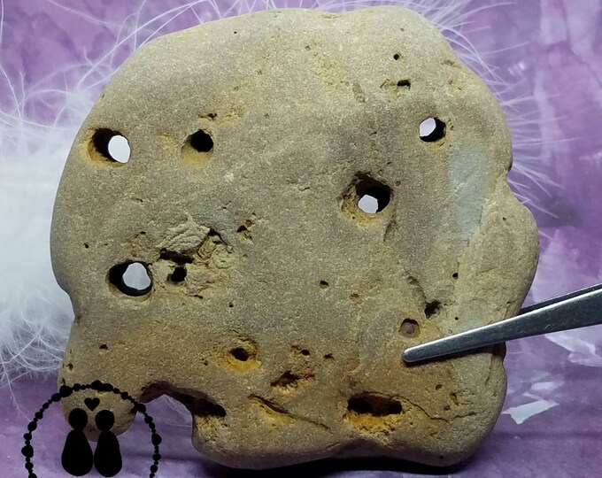 Extra Large Genuine Hag Stone From Lake Michigan Great Lakes Natural ...