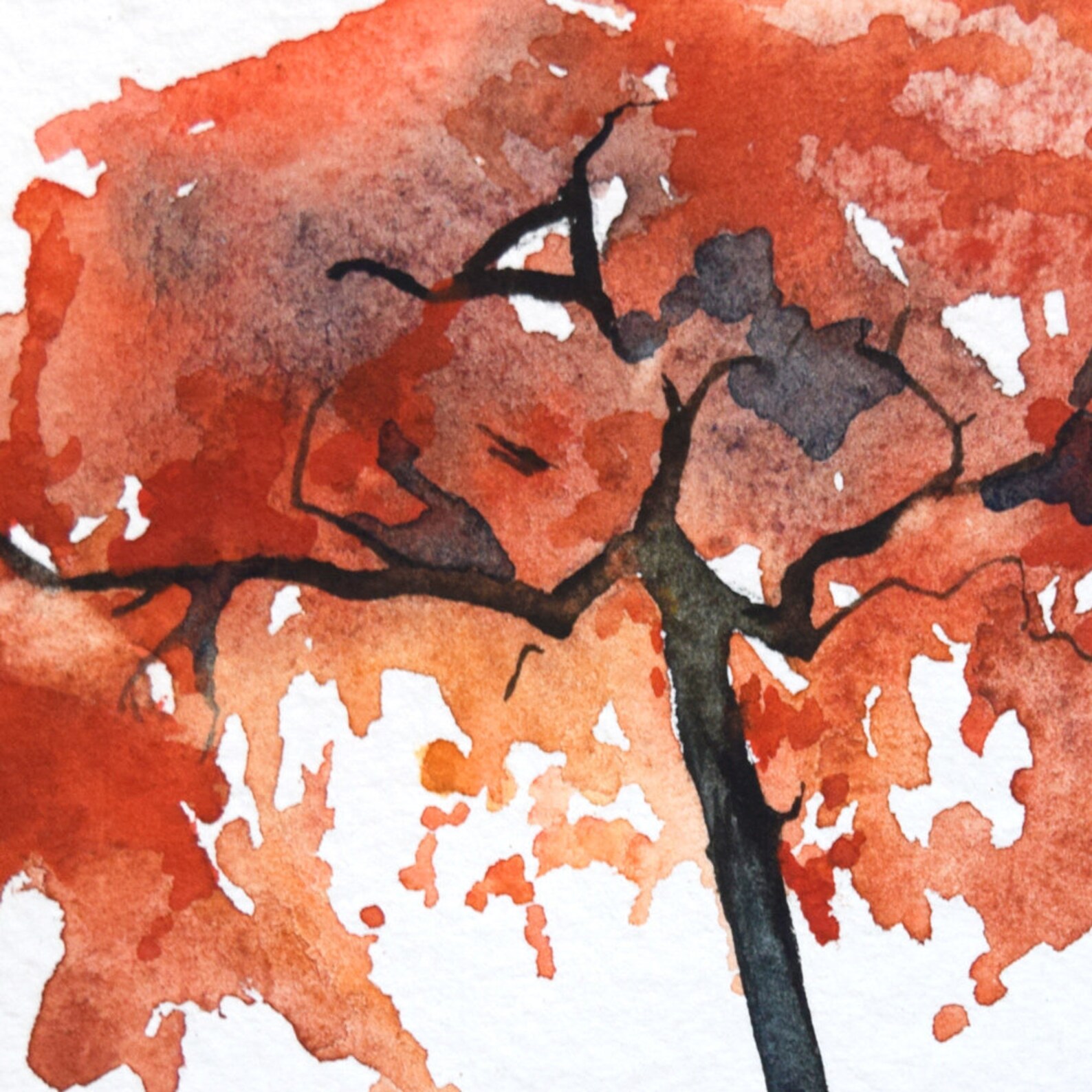 Japanese Maple Tree Watercolour | Original Painting | Water Color | Red ...