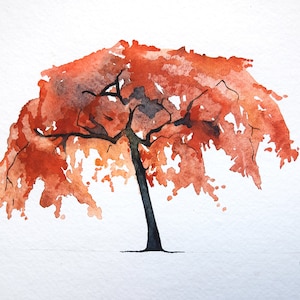 Japanese Maple Tree Watercolour | Original Painting | Water Color | Red ...