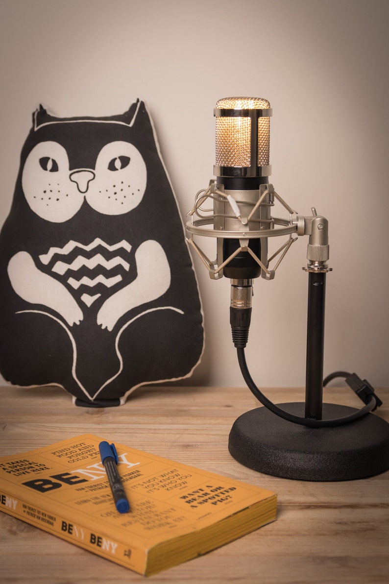 Studio Microphone Desk Lamp / Recording / Broadcast / | Etsy