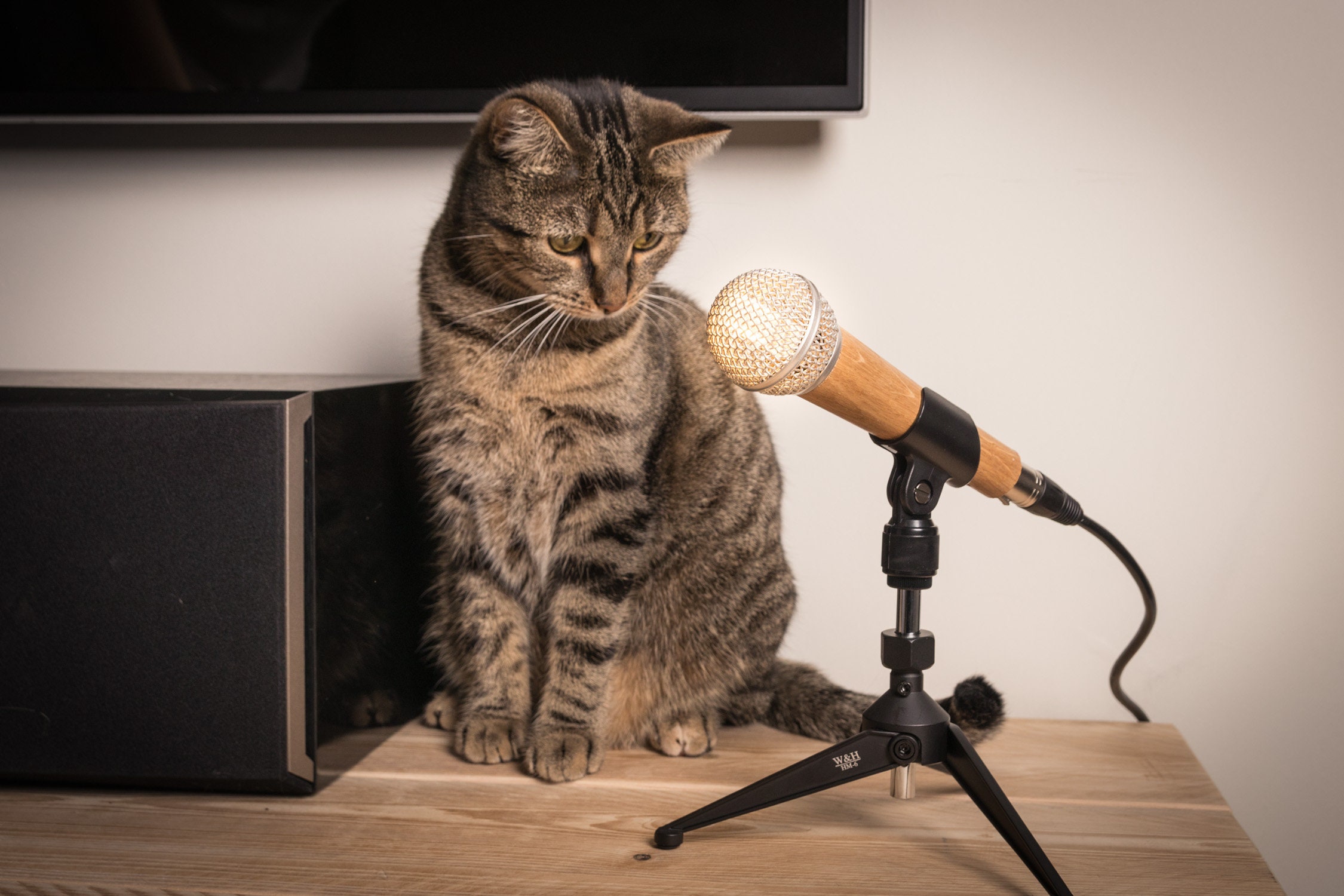 Wooden Microphone Desk Lamp - Silver / Rustic Lamp / Music / Oak ...
