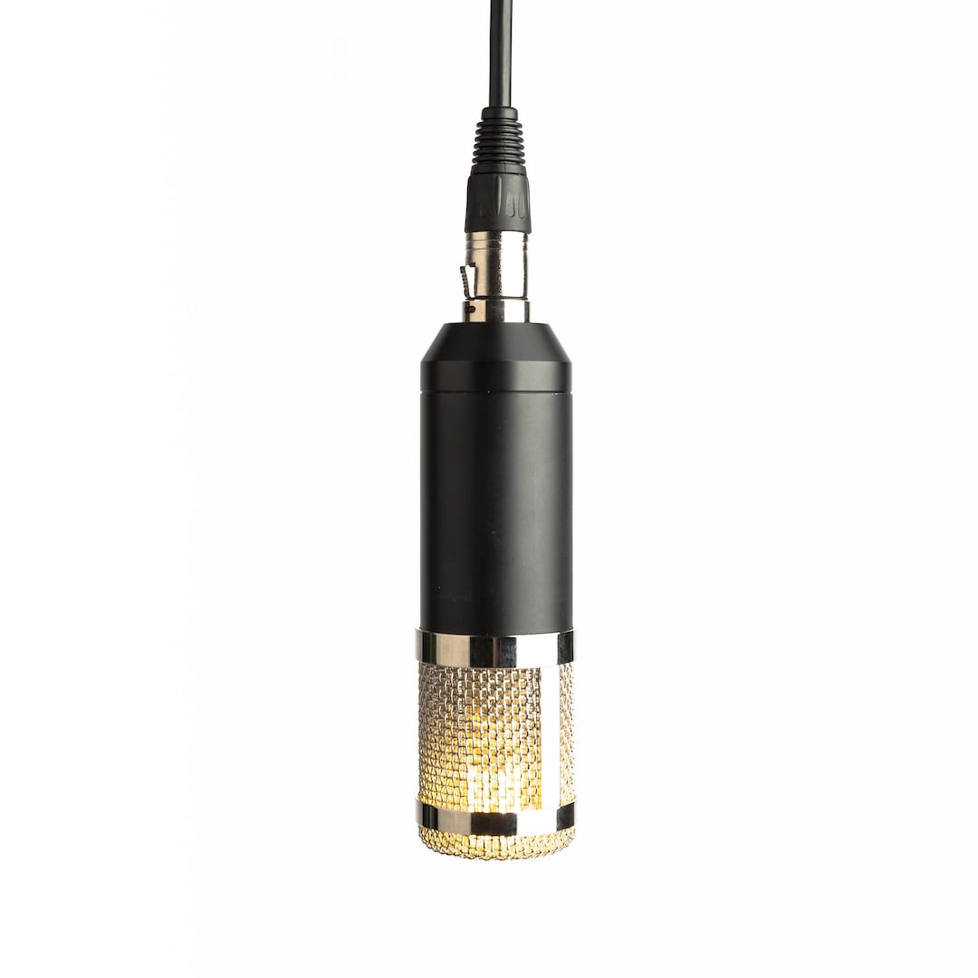 Hanging Studio Microphone Lamp / Recording Studio Decor / Producer ...
