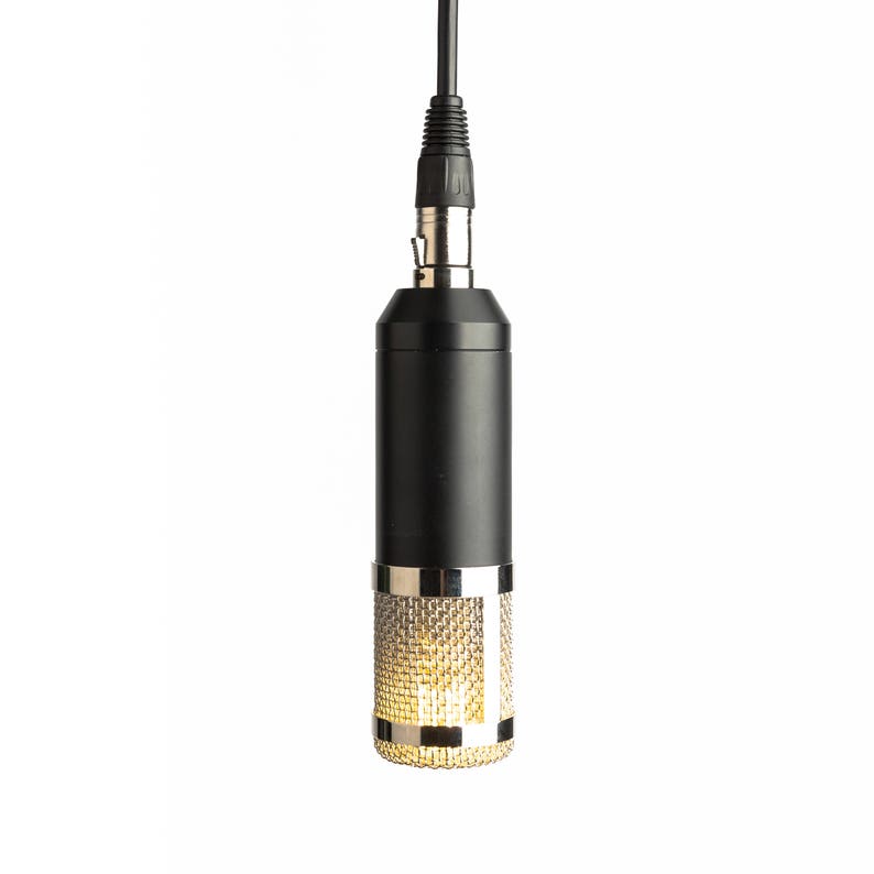 Hanging Studio Microphone Lamp / Recording Studio Decor / | Etsy