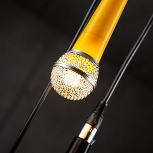 Triple 3d-printed Microphone Pendant Lamp Fixture | Customizable Colors ...