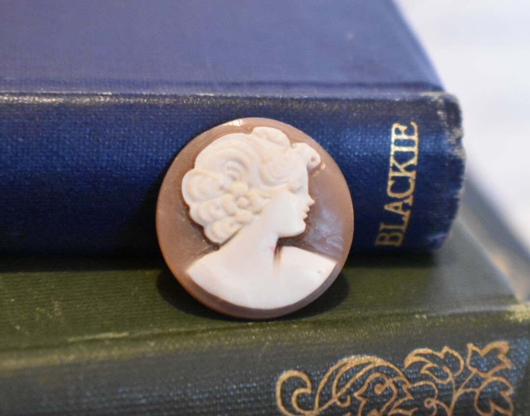 Unusual Cameo to Mount Beautiful Round Carved Shell Panel With Lady ...