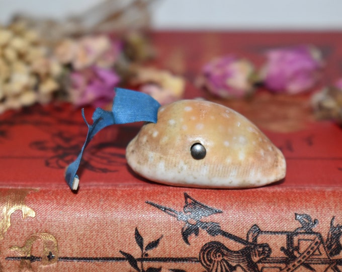 Shell Tape Measure Wonderful Antique Victorian 1 Yard Measure With Bone ...