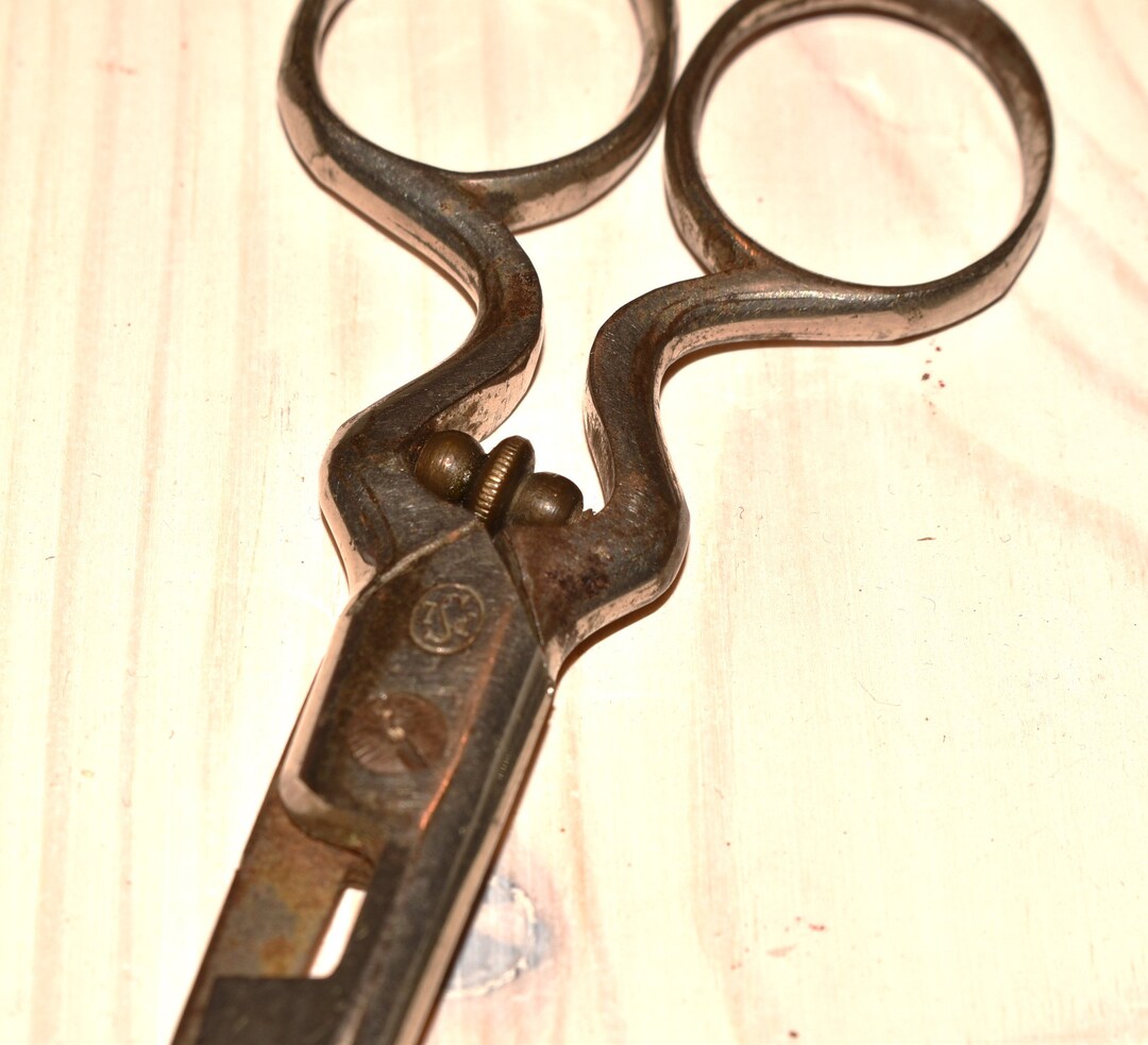 Button Hole Scissors Gorgeous Victorian Original Antique Paget & Senior ...