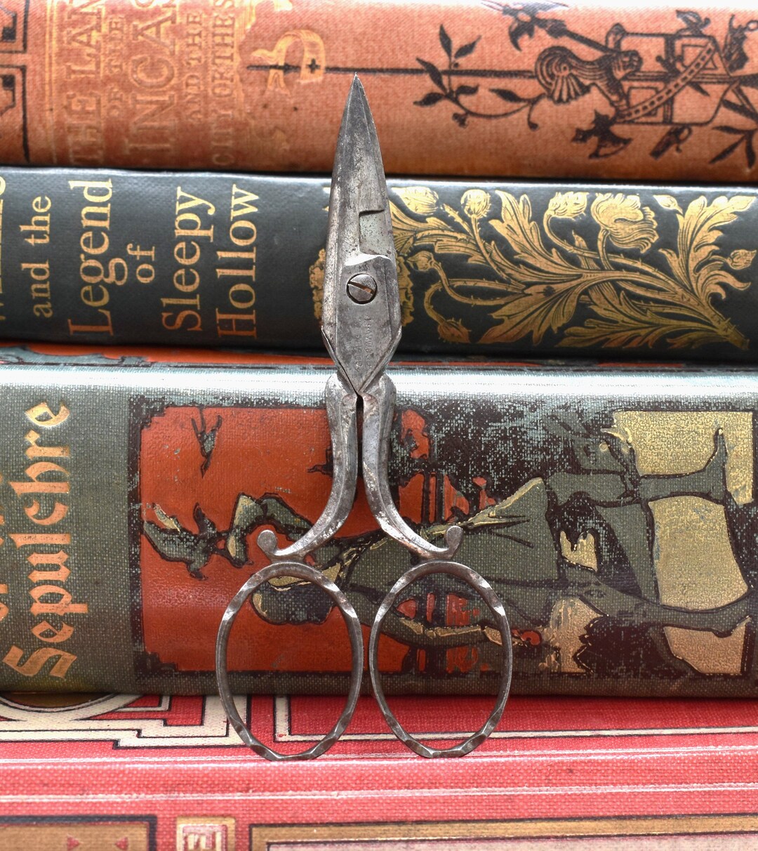 Button Hole Scissors Gorgeous Victorian Original Antique Decorative ...