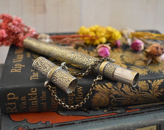 Large Needle/bodkin Case - Stunning Antique Edwardian Decorative ...