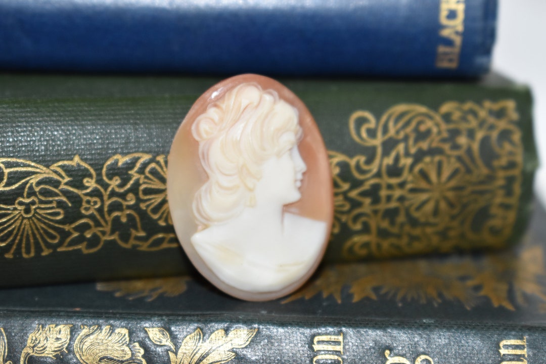 Shell Cameo Panel - Gorgeous Victorian Large Carved Female Cameo With ...