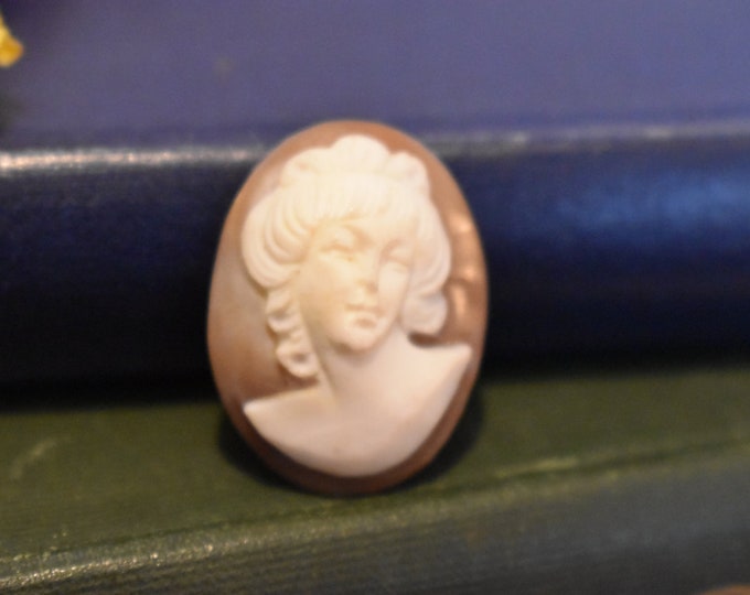 Shell Cameo Panel - Beautiful High Relief Rare Front Facing Carved ...