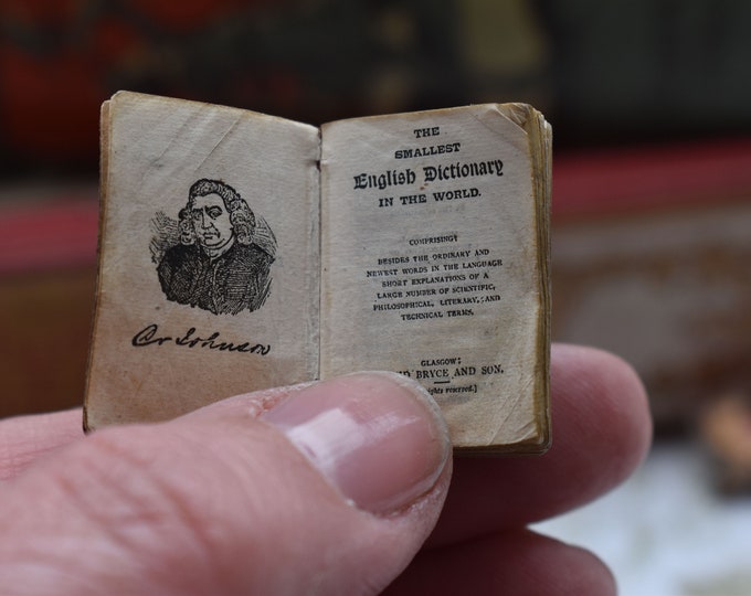 The Smallest Dictionary in the World Stunning Victorian Bryce's 1 Inch ...