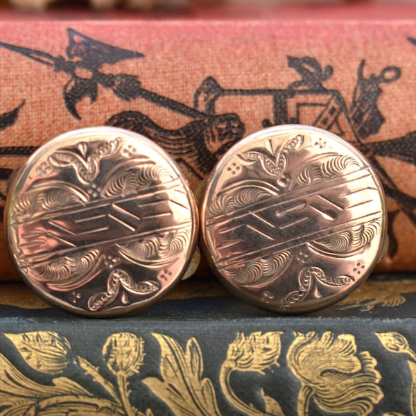 Bachelor Buttons - Etsy