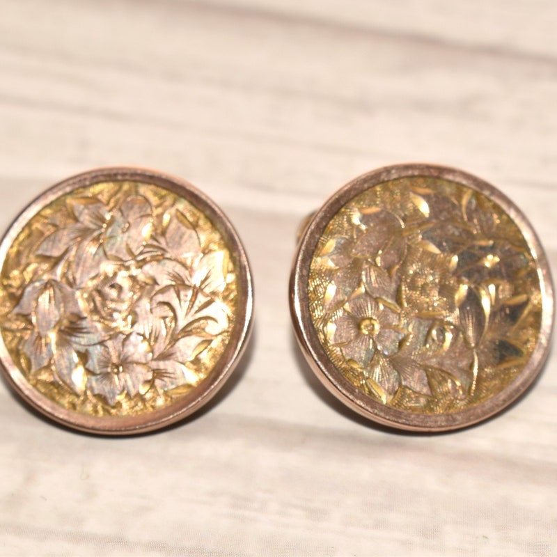 Bachelor Buttons - Etsy
