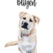 Custom Pet Portrait Digital Prints Gift for Cat and Dog - Etsy