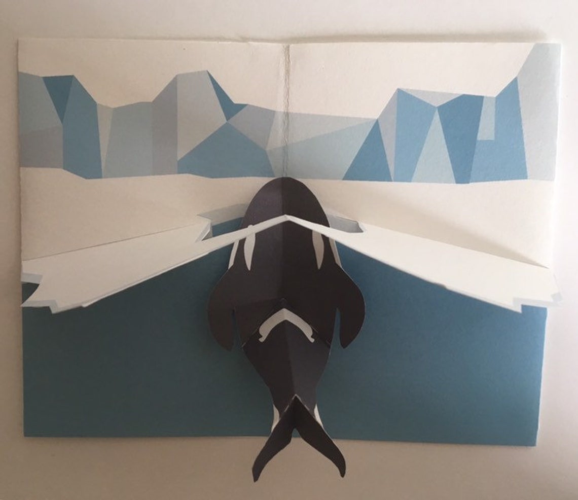 Pop up 3D Sea Orca Birthday Greeting Card! Popup Killer Whale Sea ...