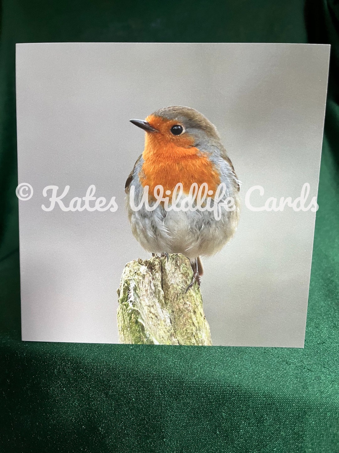 Robin Greeting Card 02 - Etsy