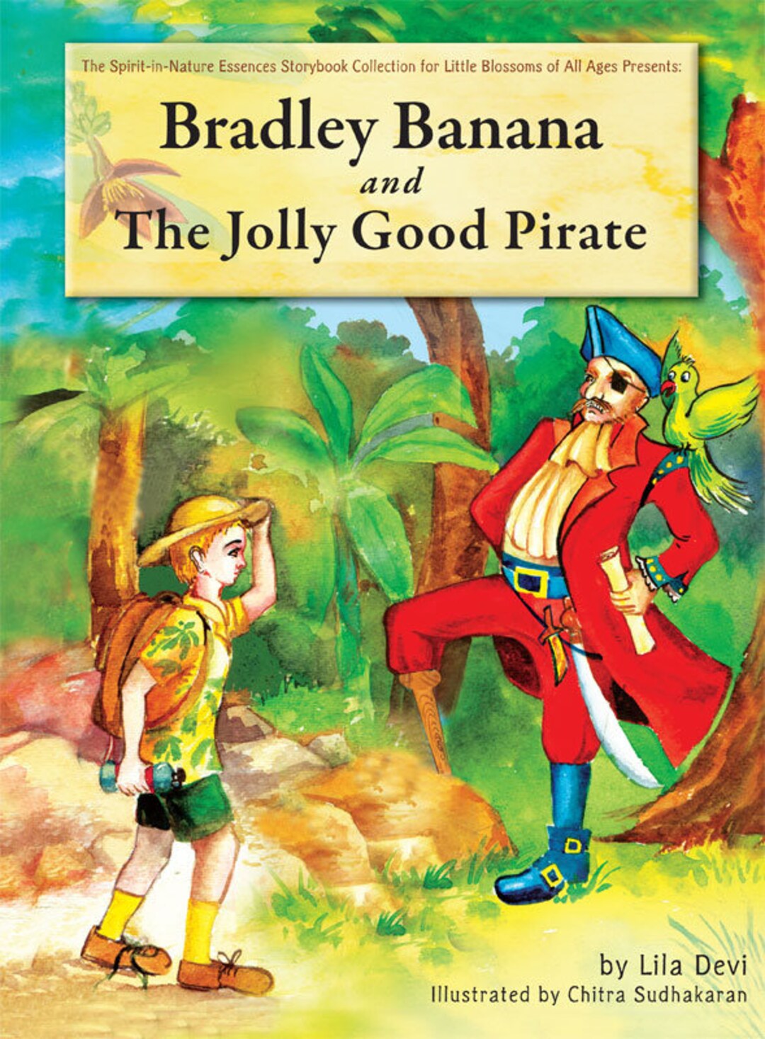Children's Book: Bradley Banana and the Jolly Good Pirate - Etsy