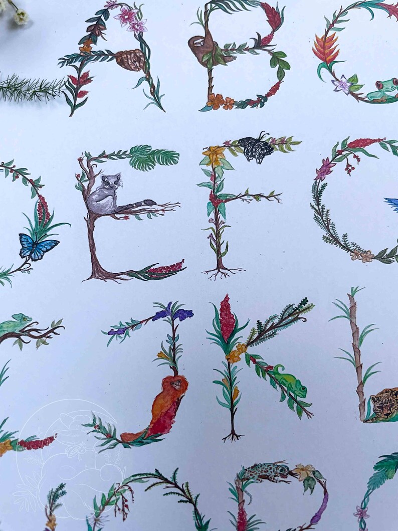 Rainforest Animal Alphabet Poster Watercolour Wall Art ABC Nature ...