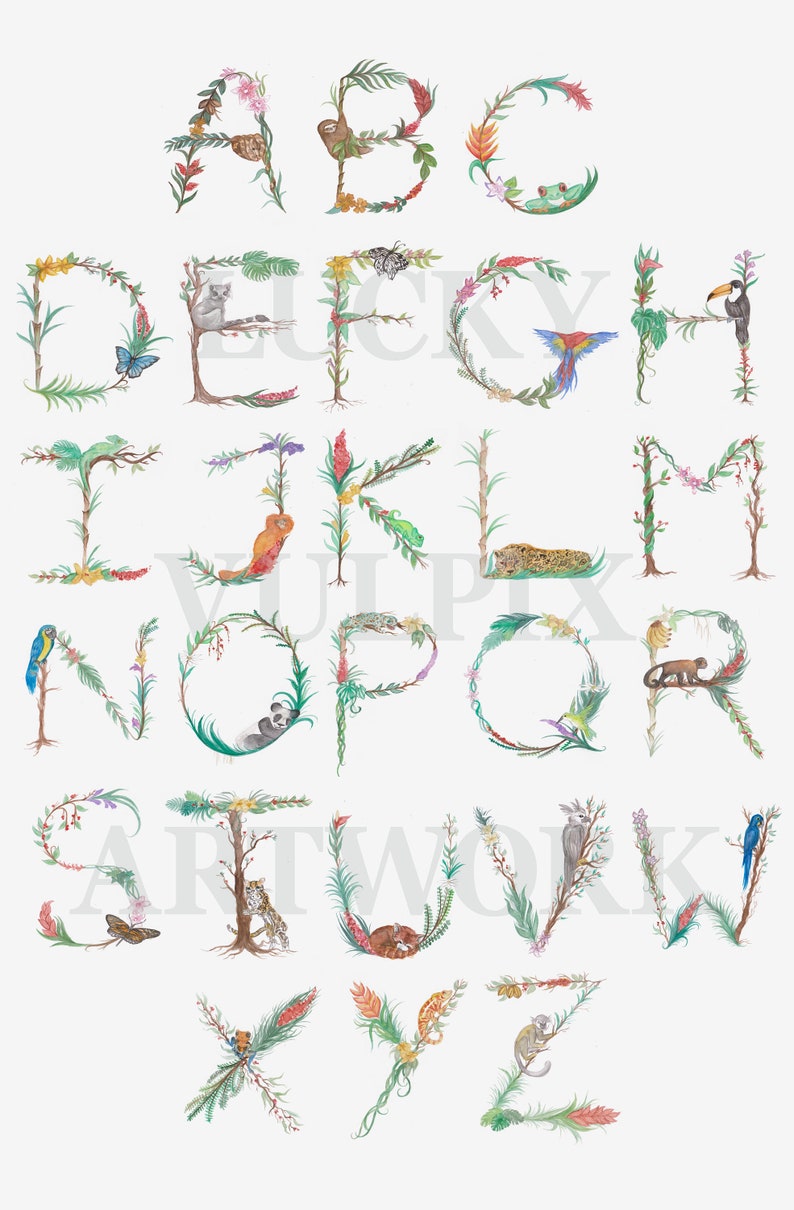 Rainforest Animal Alphabet Poster Watercolour Wall Art ABC - Etsy