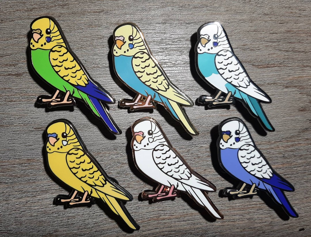 Budgie Hard Enamel Pin Parakeet Budgerigar - Etsy