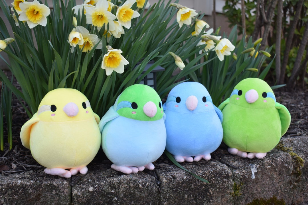 Parrotlet Plushie - Borb Round Parrot Stuffed Animal Bird - Etsy