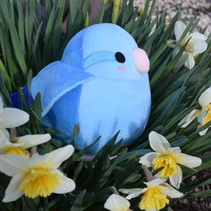 Parrotlet Plushie - Borb Round Parrot Stuffed Animal Bird - Etsy