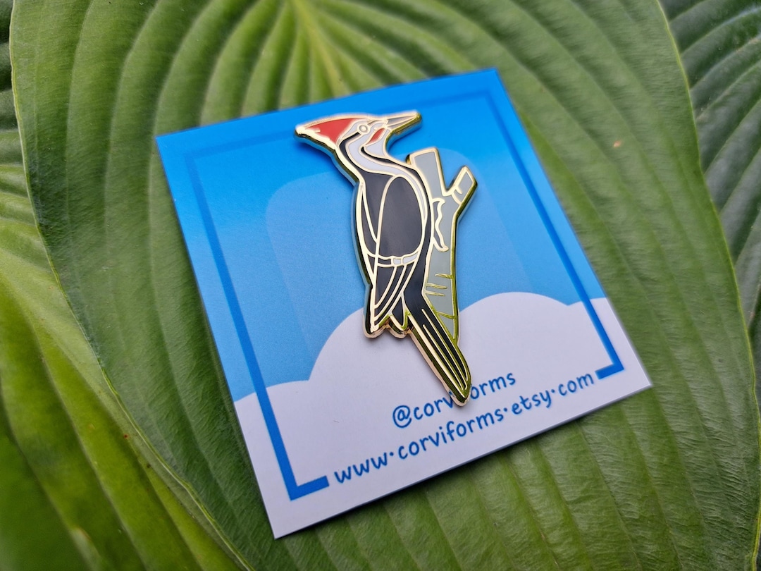 Pileated Woodpecker & Birch Enamel Pin Bird Songbird - Etsy