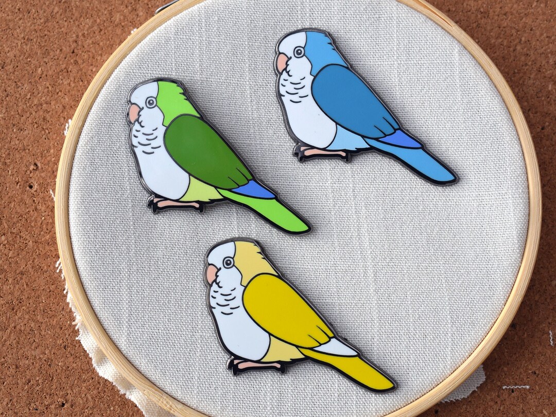 Quaker Parrot Hard Enamel Pin - Etsy
