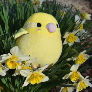 Parrotlet Plushie Borb Round Parrot Stuffed Animal Bird - Etsy