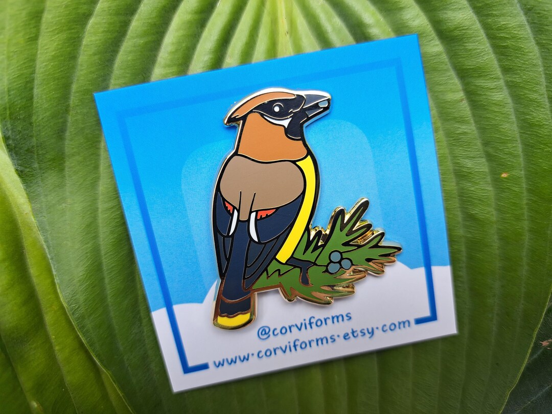 Cedar Waxwing & Cedar Enamel Pin Songbird - Etsy