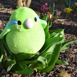 Parrotlet Plushie Borb Round Parrot Stuffed Animal Bird - Etsy