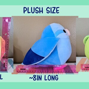 Parrotlet Plushie - Borb Round Parrot Stuffed Animal Bird - Etsy