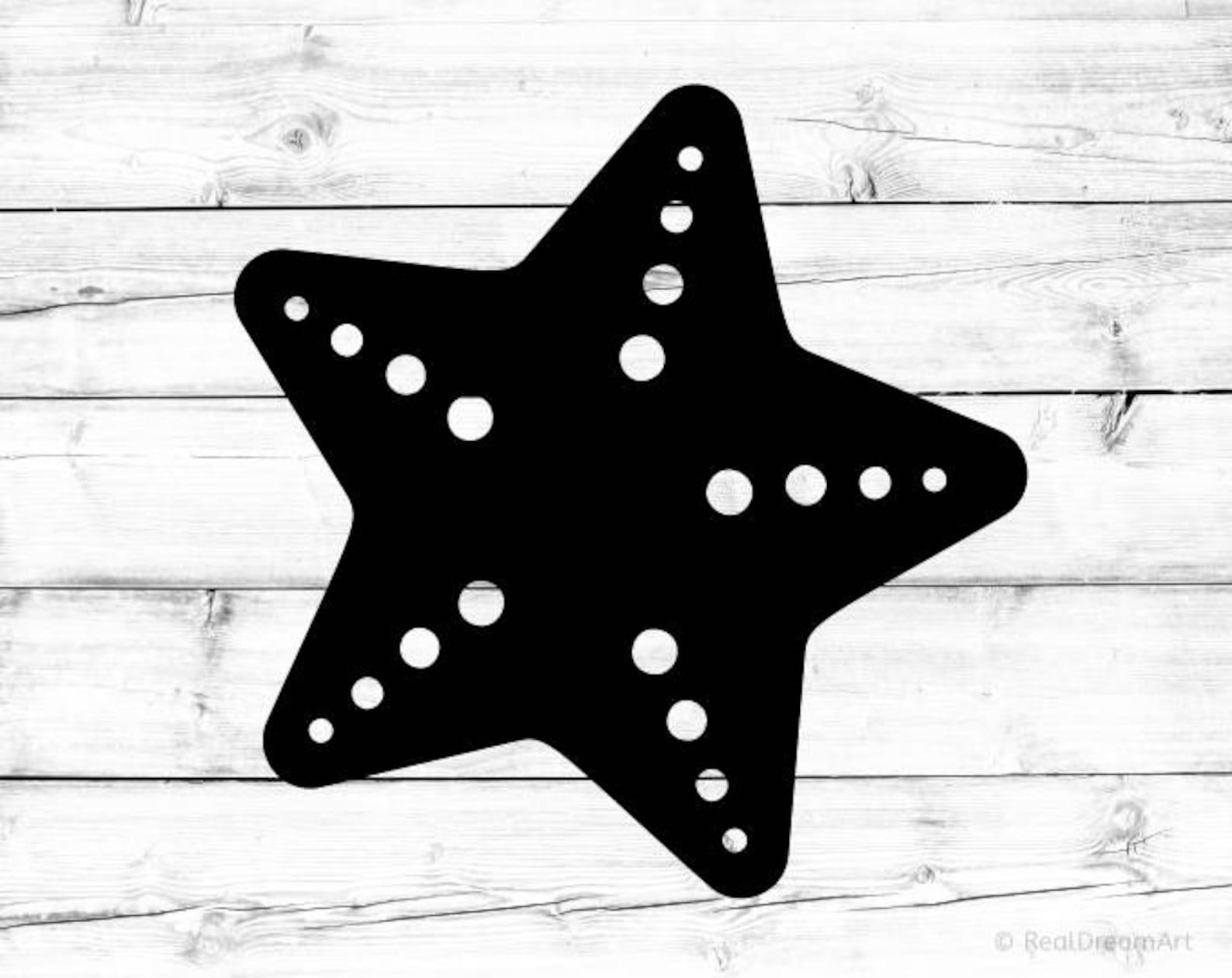 Zeester SVG zeesterren silhouet SVG zeesterren PNG zee SVG - Etsy Nederland